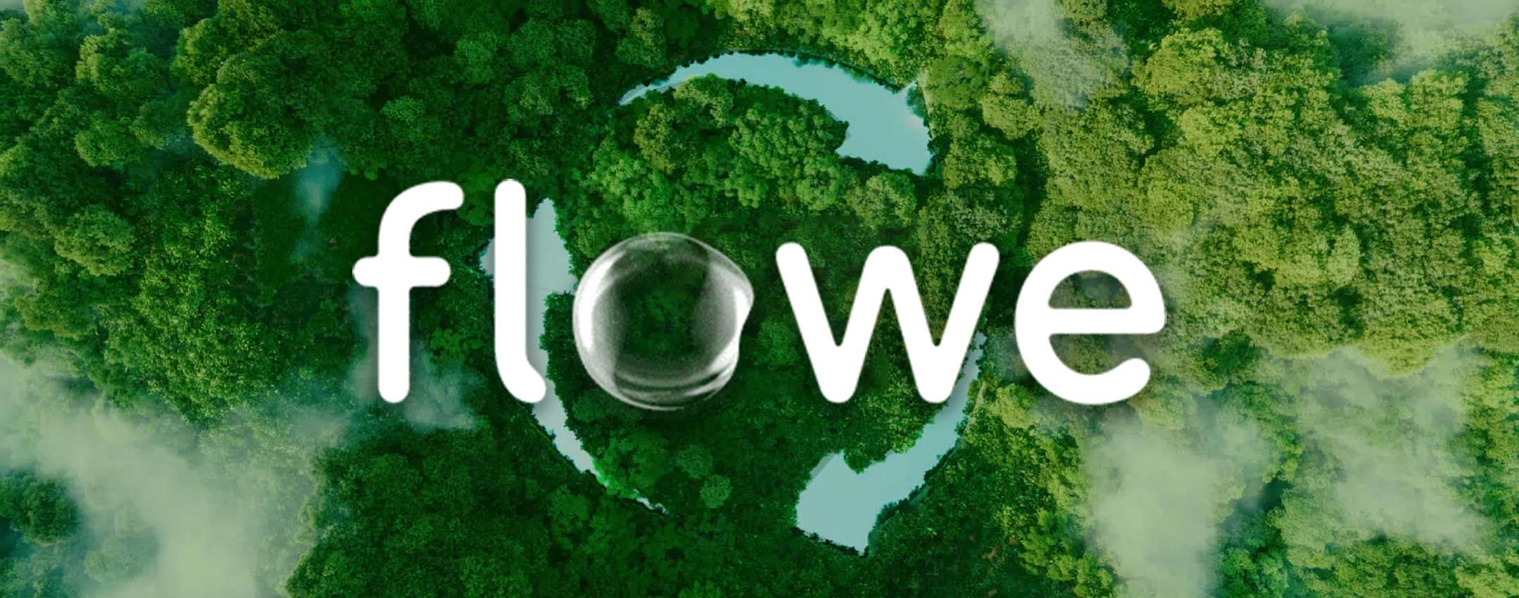 Con Flowe riduci la tua impronta ecologica e pianti nuovi alberi