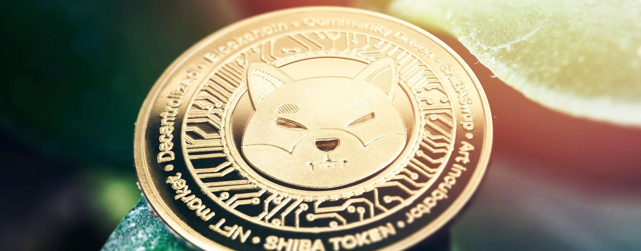 Shiba Inu supera il 3000%, Litecoin e InQubeta attirano grandi investimenti