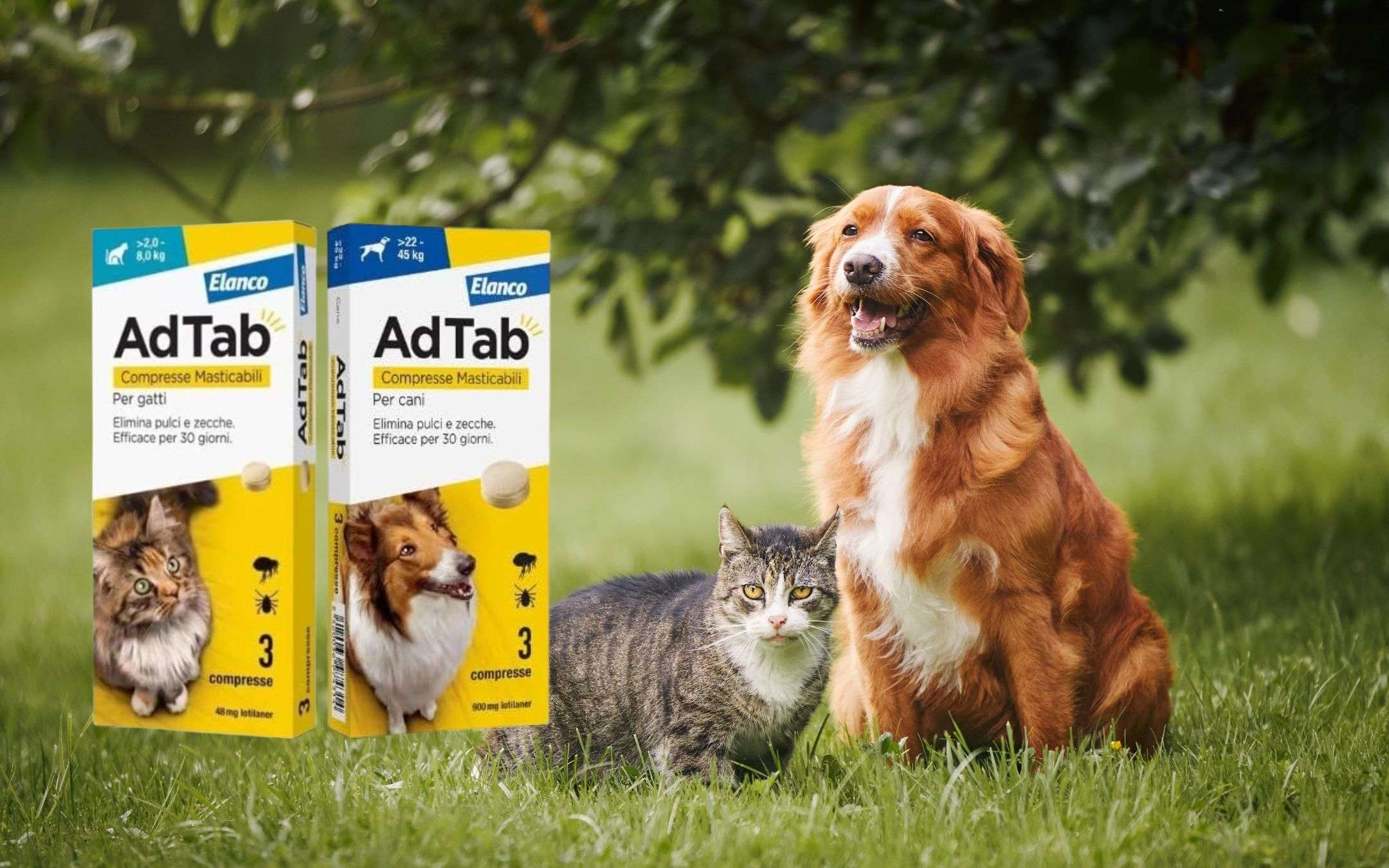 AdTab per cane e per gatto: l'originale è su Amazon a prezzo ECCEZIONALE
