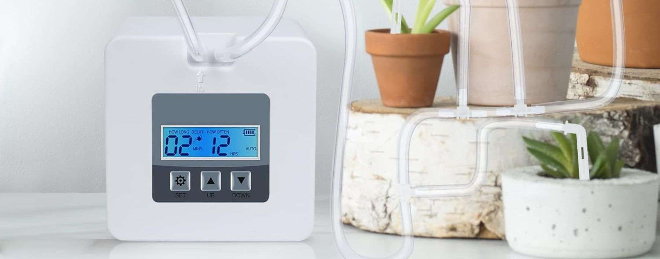 Niente più piante assetate: sistema di irrigazione automatica in ...