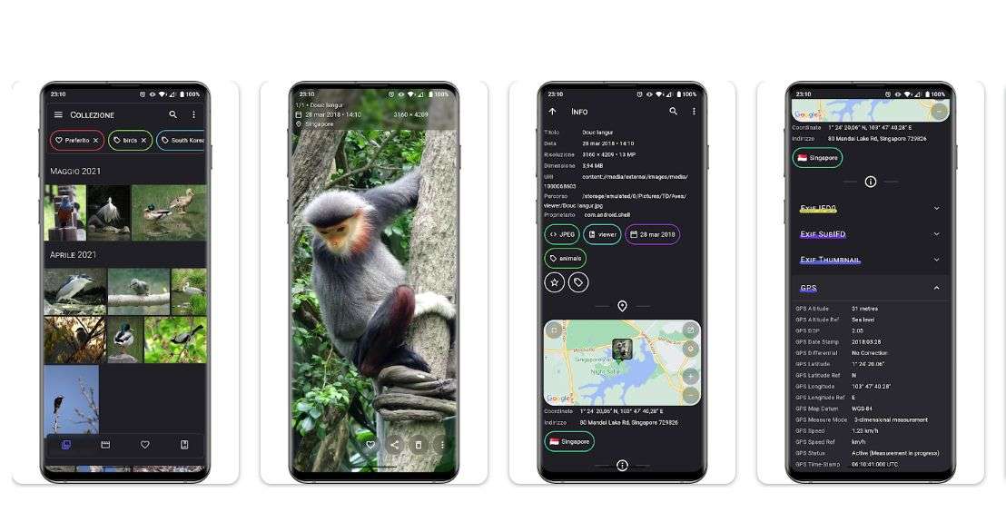 7 app per gestire foto e backup meglio di Samsung Gallery